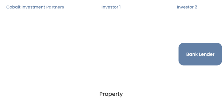 Investment Process | Cobalt Investment Partners